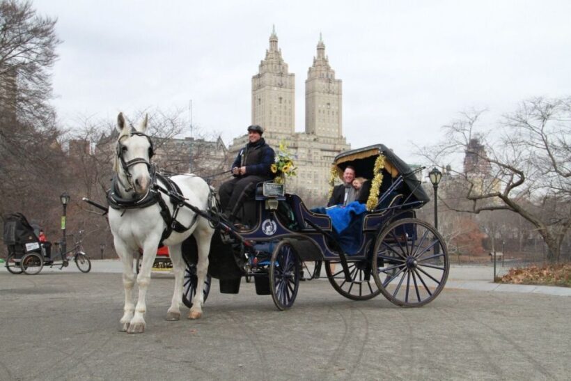 NYC Horse Carriage Ride in Central Park (65 min) - Practical Tips