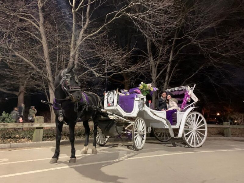 NYC Horse Carriage Ride in Central Park (65 min) - The Experience: Guides, Atmosphere, and Authenticity