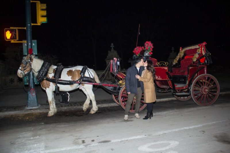 NYC Horse Carriage Ride in Central Park (65 min) - Who Should Consider This Tour?