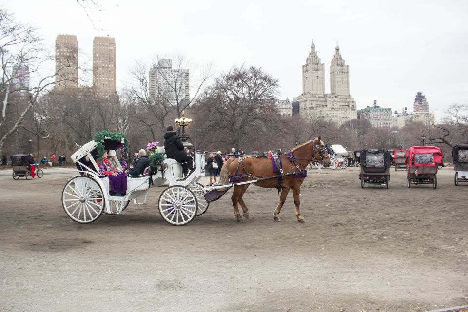 NYC Horse Carriage Ride in Central Park (65 min) - The Sum Up: Is It Worth It?