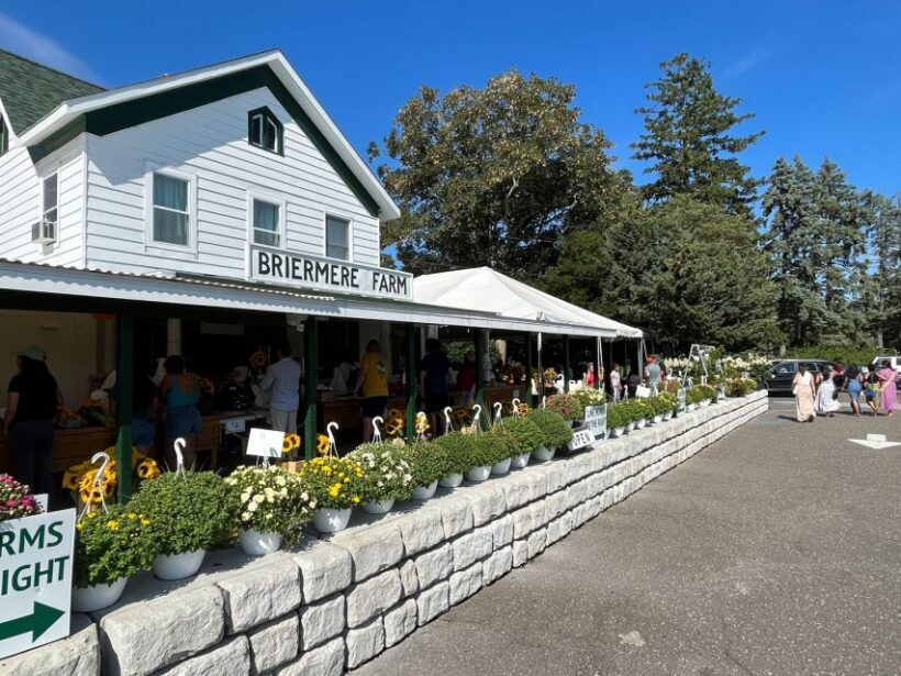 NYC: Long Island Sommelier-Guided Wine Tasting Tour - Who Will Love This Tour?