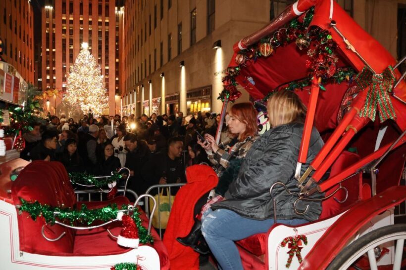 NYC: Magical Christmas Lights Carriage Ride - Value for Money: Is It Worth It?