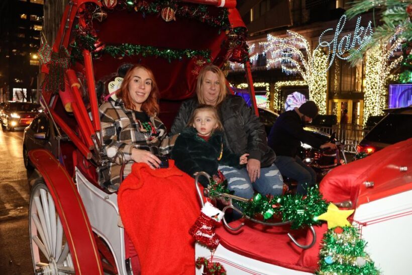 NYC: Magical Christmas Lights Carriage Ride - FAQ