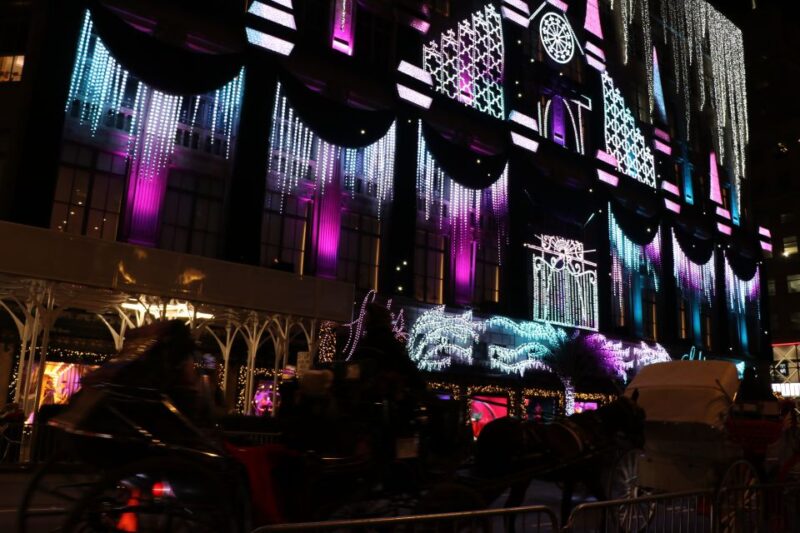 NYC: Magical Christmas Lights Carriage Ride (Up to 4 Adults) - What to Expect During the Ride