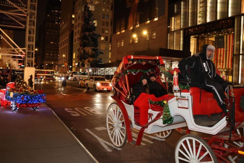 NYC: Magical Christmas Lights Carriage Ride (Up to 4 Adults) - Practical Tips for Booking and Enjoying the Ride