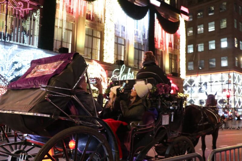 NYC: Magical Christmas Lights Carriage Ride (Up to 4 Adults) - FAQ