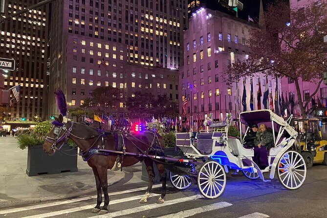 NYC : Magical Christmas Lights Private Horse Carriage Ride - Key Points