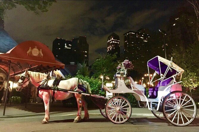 NYC : Magical Christmas Lights Private Horse Carriage Ride - A Deep Dive into the Experience