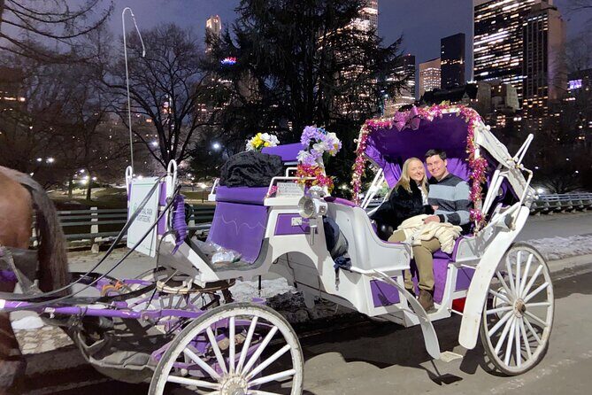 NYC : Magical Christmas Lights Private Horse Carriage Ride - FAQs