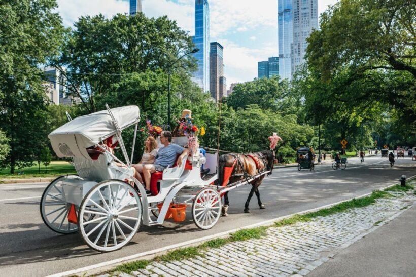 NYC MAGICAL NIGHT TIME RIDE Central Park/Rockefeller Center - The Cost and What You Get