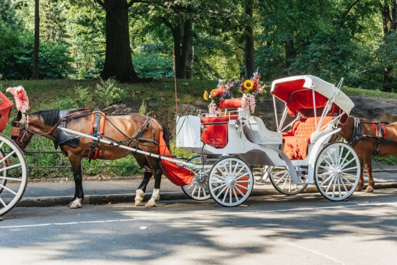 NYC MAGICAL NIGHT TIME RIDE Central Park/Rockefeller Center - FAQ
