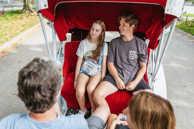 NYC MAGICAL NIGHT TIME RIDE Central Park/Rockefeller Center - The Experience for Different Travelers