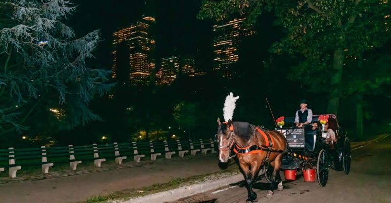 NYC MOONLIGHT HORSE CARRIAGE RIDE through Central Park - Practical Tips
