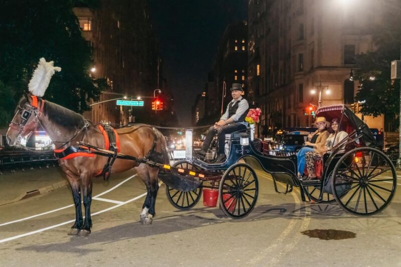 NYC MOONLIGHT HORSE CARRIAGE RIDE through Central Park - Final Thoughts