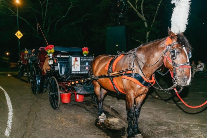 NYC MOONLIGHT HORSE CARRIAGE RIDE through Central Park - FAQ