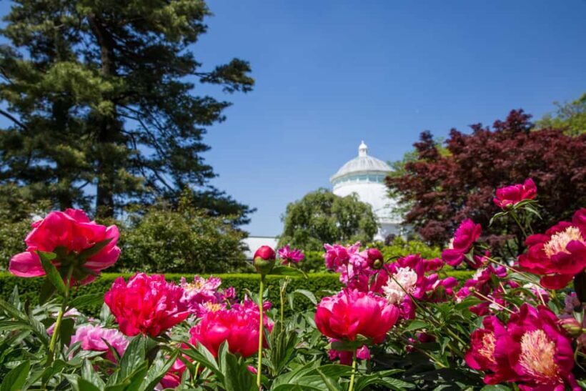 NYC: New York Botanical Garden Pass - FAQ