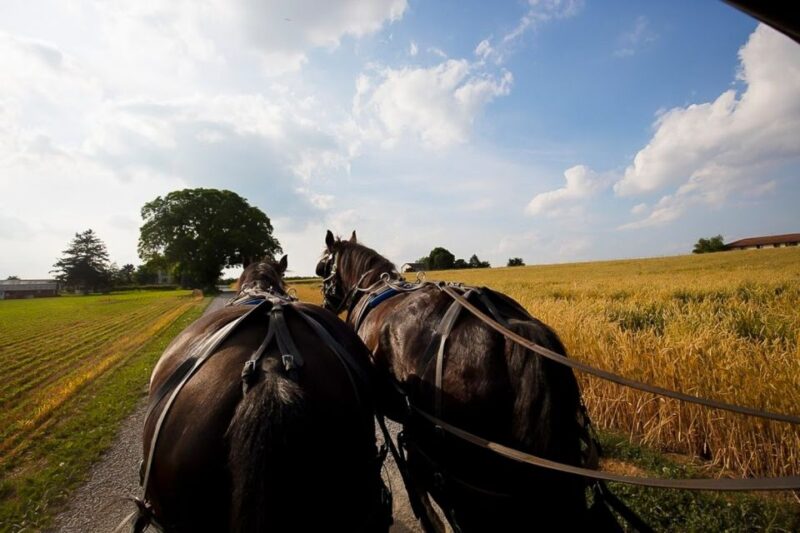 NYC: Philadelphia, Washington DC & Amish Country 2-Day Tour - The Sum Up