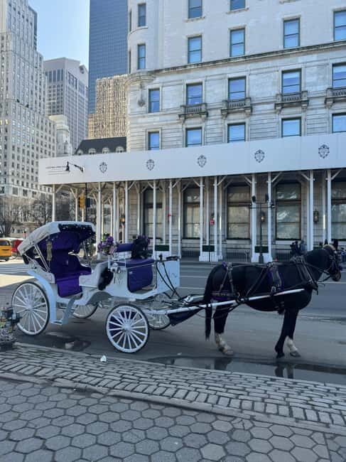 NYC: Private Central Park and NYC City Tour - The Ideal Audience for This Tour