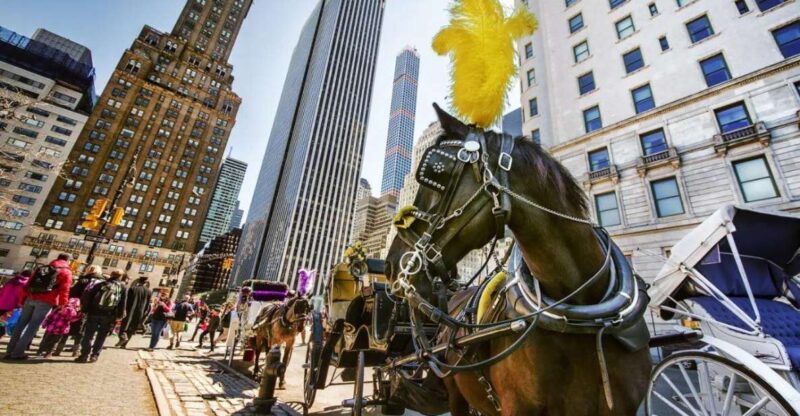 NYC Private Central Park Horse Carriage Ride with Guide - Exploring the Experience