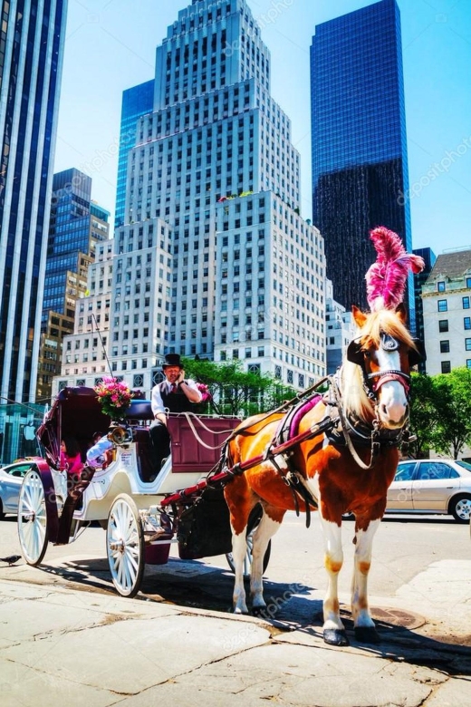 NYC Private Central Park Horse Carriage Ride with Guide - Authentic Experiences and Real Praise