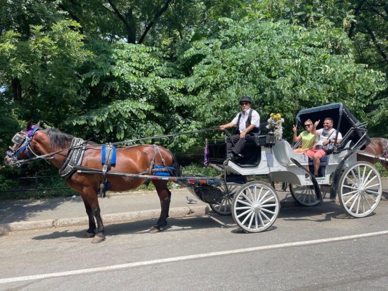 NYC Private Central Park Horse Carriage Ride with Guide - FAQs