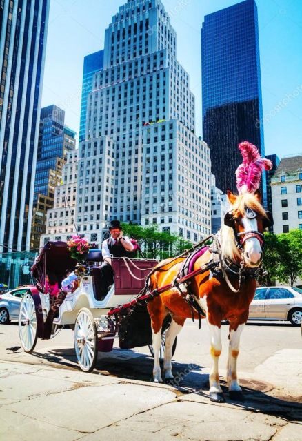 NYC Private Central Park Horse Carriage Ride with Guide - What to Expect on Your Central Park Carriage Ride