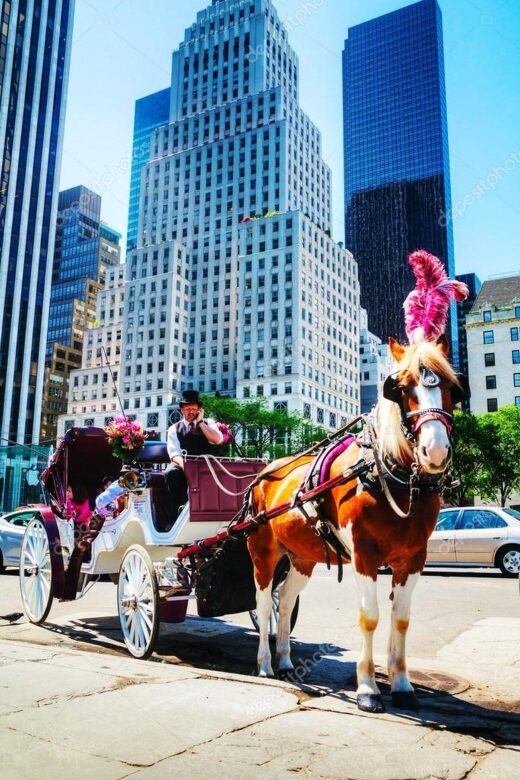 NYC Private Central Park Horse Carriage Ride with Guide - The Value of This Experience