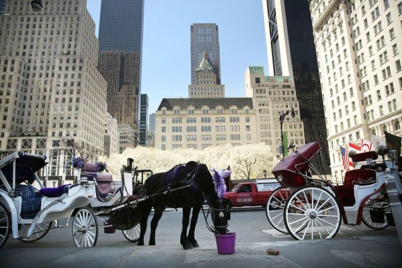 NYC Private Central Park Horse Carriage Ride with Guide - Authenticity and Genuine Appeal