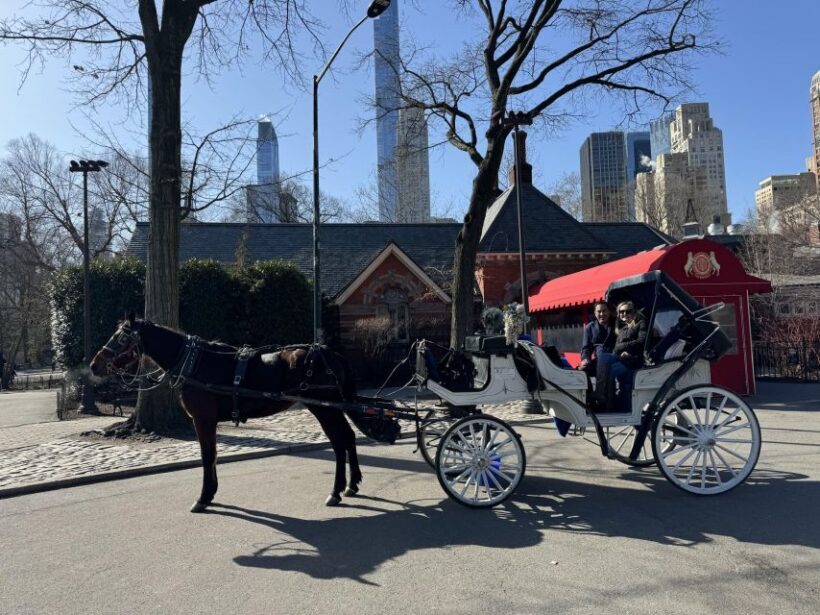 NYC Private Central Park Horse Carriage Ride with Guide - Practical Tips for Your Ride