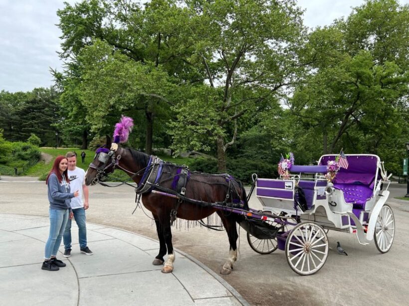 NYC: Private Central Park Horse Carriage Ride with Guide - The value of this experience