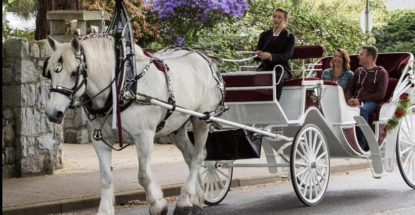 NYC: Private Central Park Horse Carriage Ride with Guide - Breaking down the itinerary: what makes each stop special