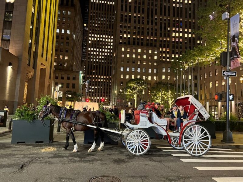 NYC: Private Central Park Horse Carriage Ride with Guide - The Sum Up