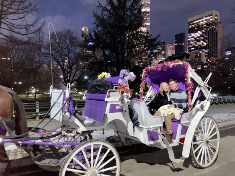 NYC: Private Christmas Lights Horse Carriage Ride - Key Points