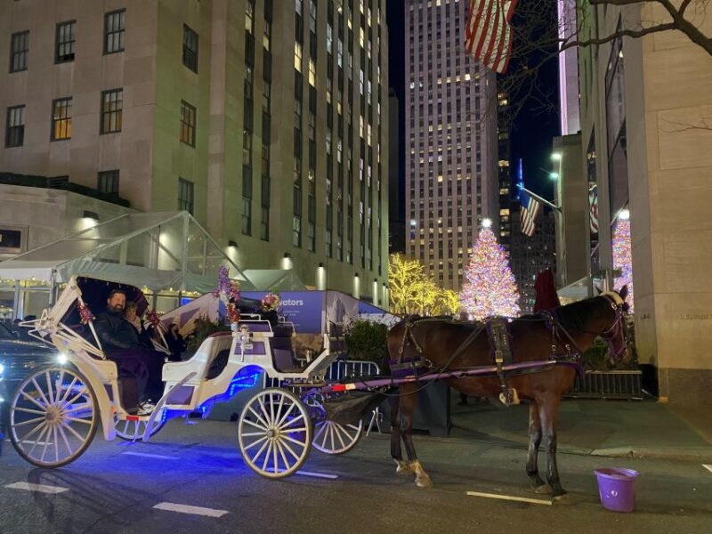 NYC: Private Christmas Lights Horse Carriage Ride - What to Expect During the Ride