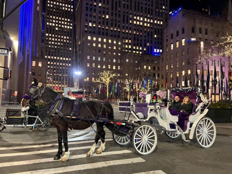 NYC: Private Christmas Lights Horse Carriage Ride - Authentic Experiences and What the Reviews Say