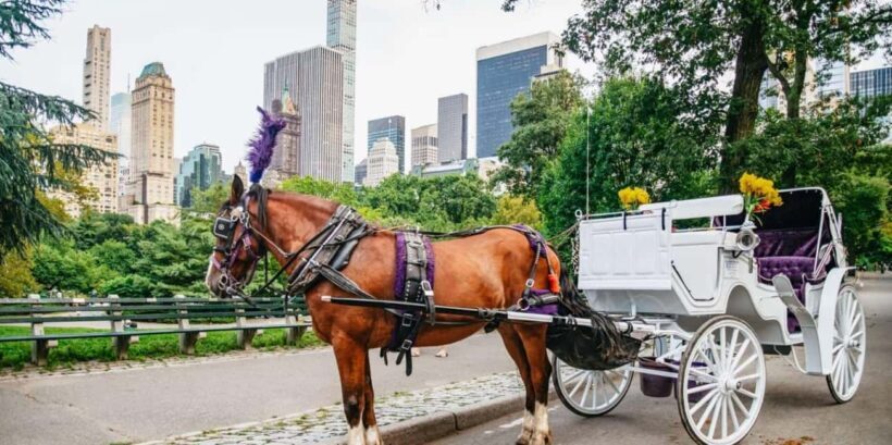 NYC: Private Christmas Lights Horse Carriage Ride - Who Should Consider This Tour?