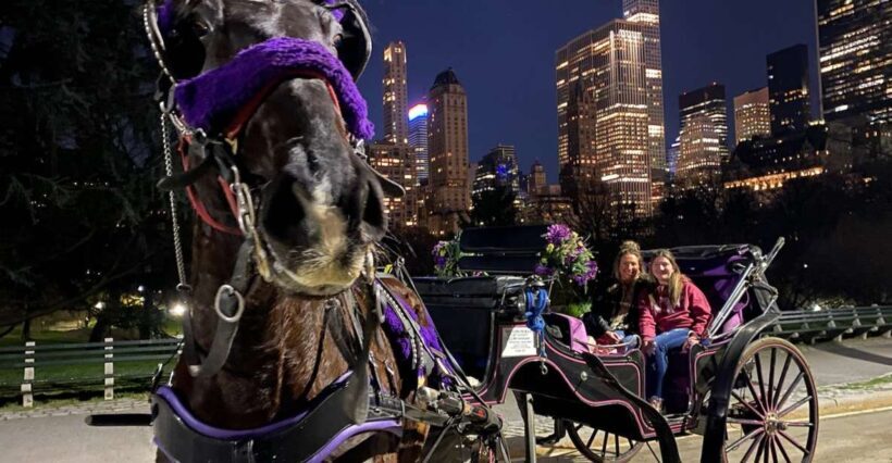 NYC: Private Christmas Lights Horse Carriage Ride - FAQ