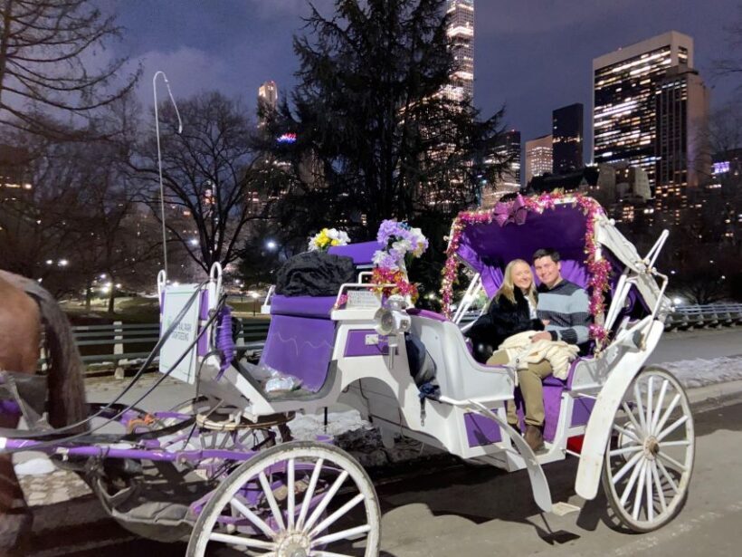 NYC: Private Christmas Lights Horse Carriage Ride - A Closer Look at the Experience