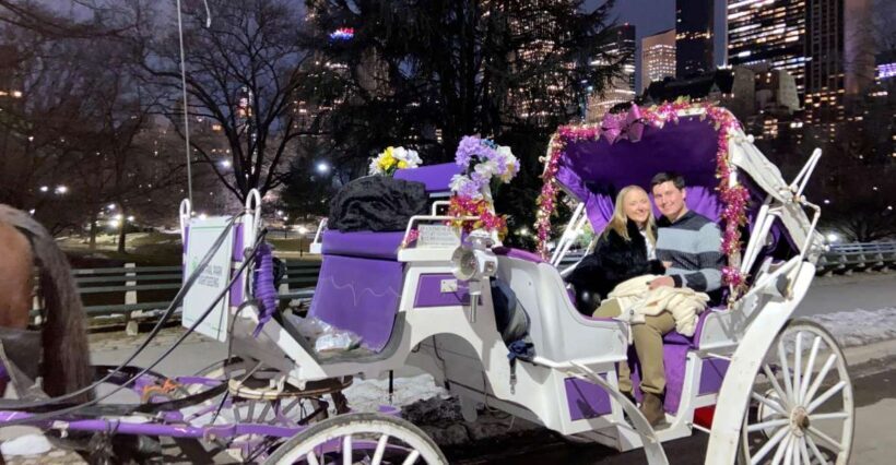 NYC: Private Christmas Lights Horse Carriage Ride - Frequently Asked Questions (FAQs)