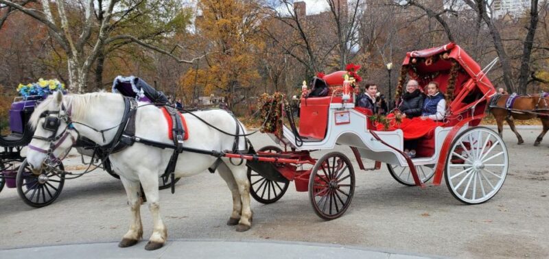 NYC: Private Christmas Lights Horse Carriage Ride - Key Points
