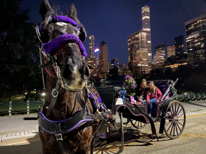 NYC: Private Christmas Lights Horse Carriage Ride - Final Thoughts: Who Is This Tour For?