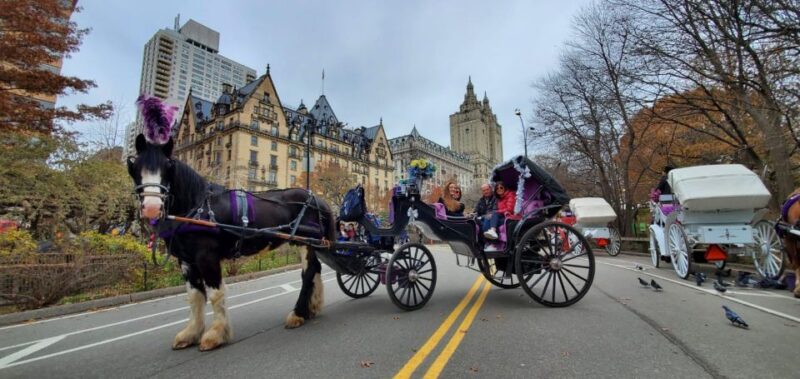 NYC: Private Christmas Lights Horse Carriage Ride - Frequently Asked Questions