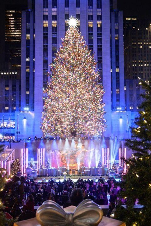 NYC: Private Dyker Heights and NYC Holiday Lights Tour - FAQs