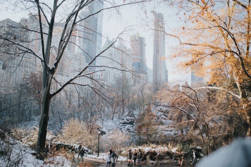 NYC Private Walking Tour with Professional Guide - Why Consider a Private NYC Walking Tour?