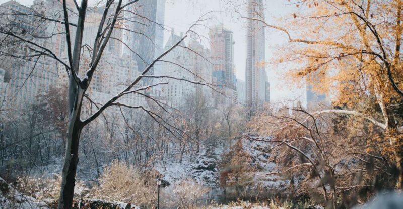 NYC Private Walking Tour with Professional Guide - Exploring the NYC Private Walking Tour with a Professional Guide