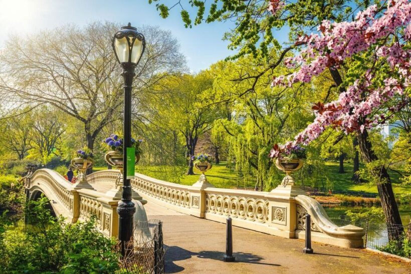 NYC: Sightseeing Day Trip with Statue of Liberty Visit - Practical Tips for Making the Most of the Tour
