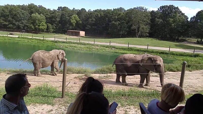 NYC: Six Flags Great Adventure Private Hotel Transfer - Key Points