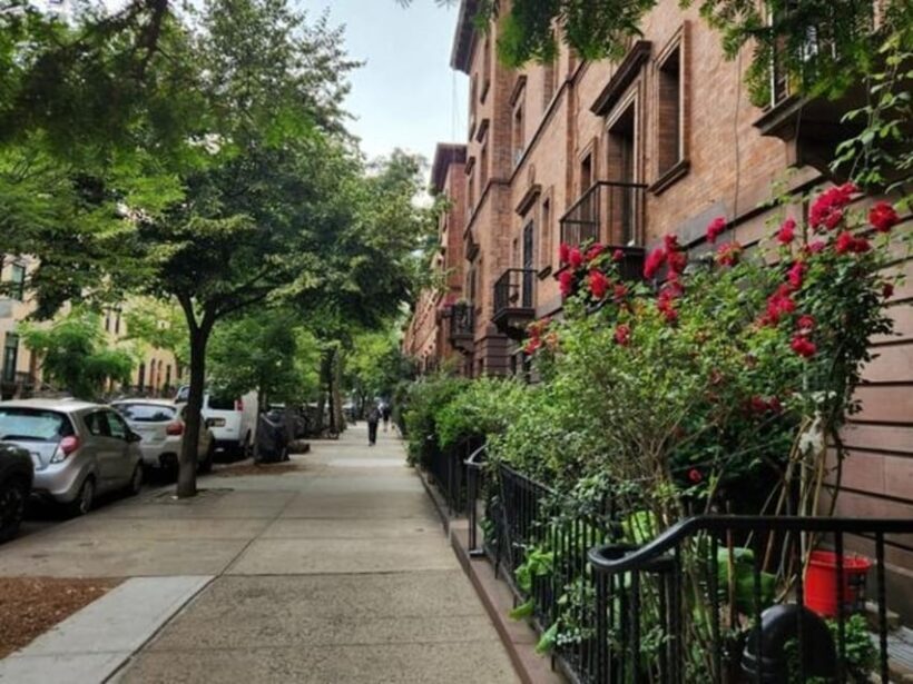 NYC: Soho, Little Italy and Chinatown Private Walking Tour - Discovering Chinatown’s Bustling Streets