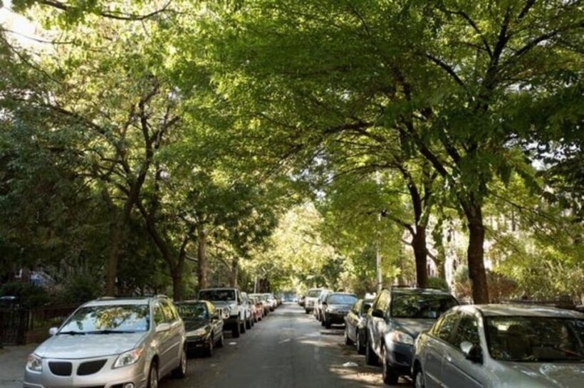 NYC: Soho, Little Italy and Chinatown Private Walking Tour - The Cost and Value