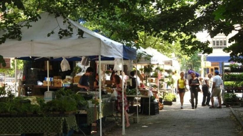 NYC: Soho, Little Italy and Chinatown Private Walking Tour - Who Will Love This Tour?